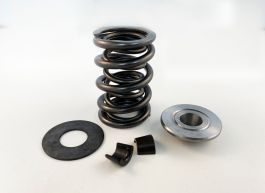 Race Valve Spring Bundle - Steel